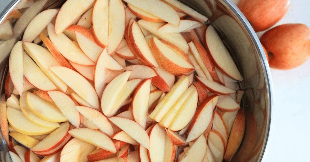 How to Freeze Dry Apples with a Home Freeze Dryer - moon + magnolia