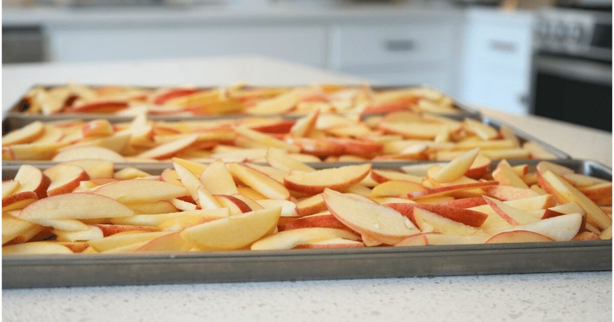 How to Freeze Dry Apples with a Home Freeze Dryer - moon + magnolia