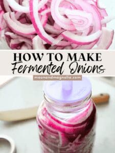 How to Make Lacto-Fermented Onions - Easy Recipe! - moon + magnolia