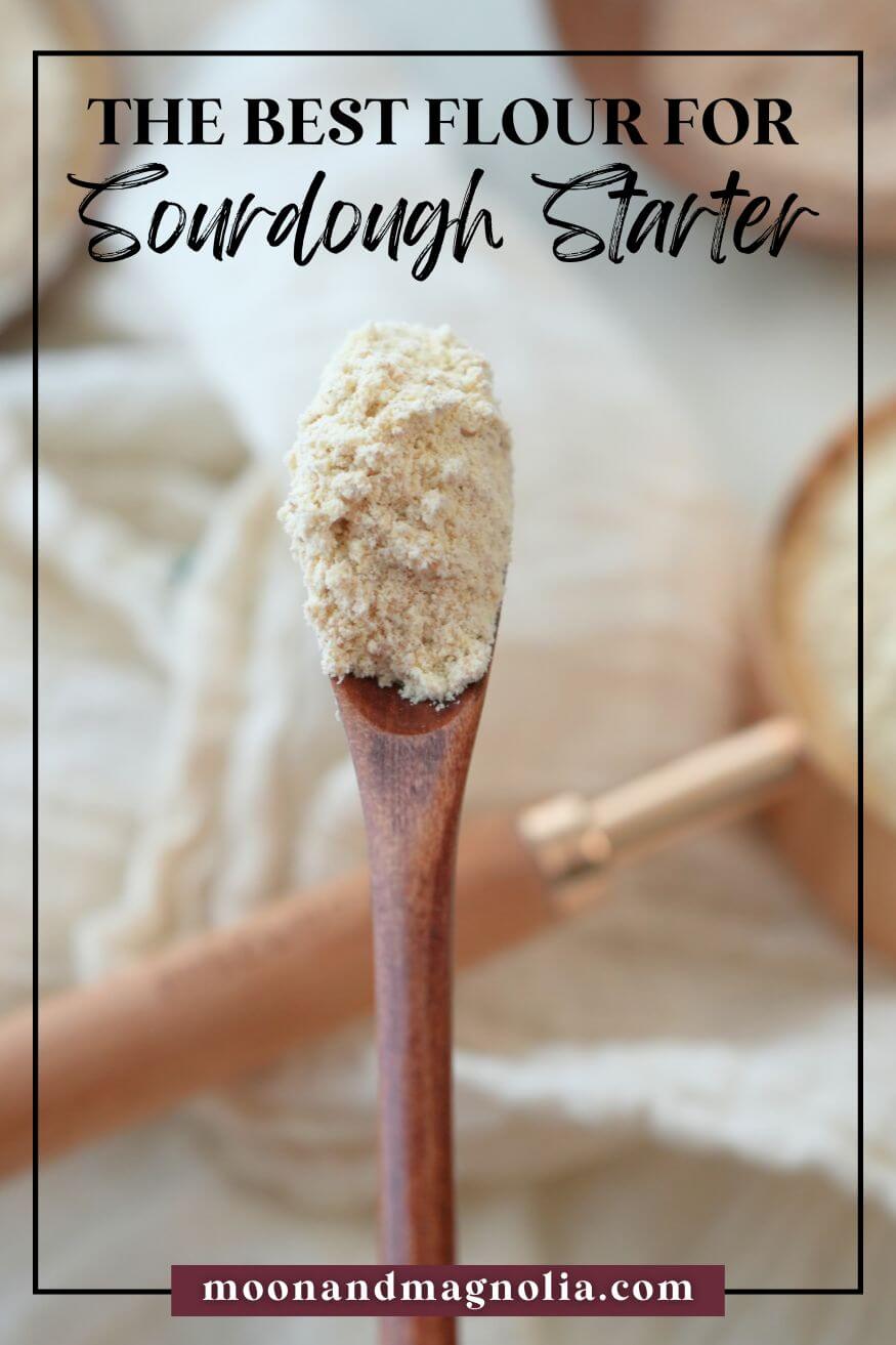 What Types of Flour Can You Feed Sourdough Starter? - moon + magnolia