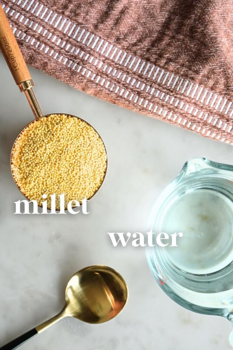 How To Cook Millet in the Instant Pot - Quick & Easy! - moon + magnolia