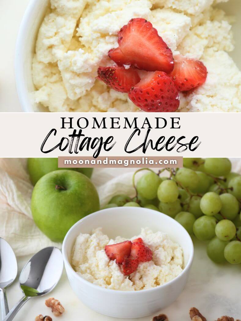 Homemade Cottage Cheese Recipe - moon + magnolia