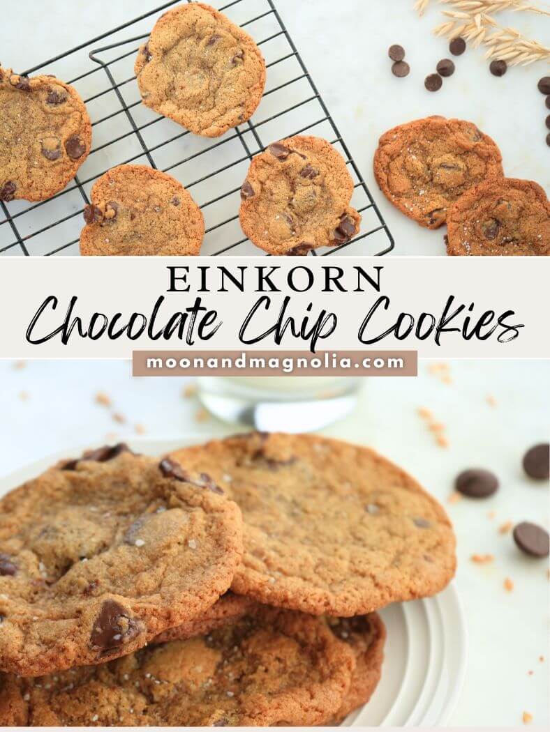 The Most Delicious Einkorn Chocolate Chip Cookies - moon + magnolia