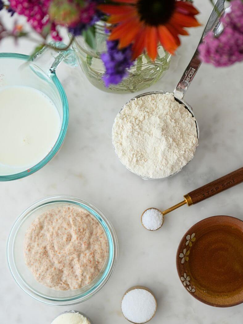 How To Add Sourdough Discard to Any Recipe (Grams & Cups Explained ...