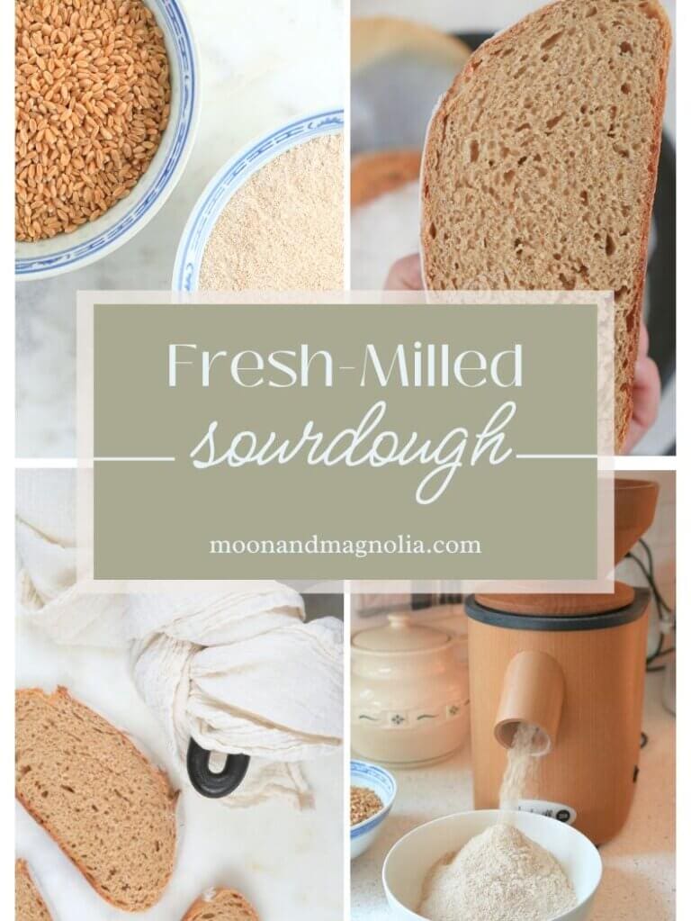 Same-Day Sourdough with Fresh-Milled Flour - 100% Whole Grain - moon ...