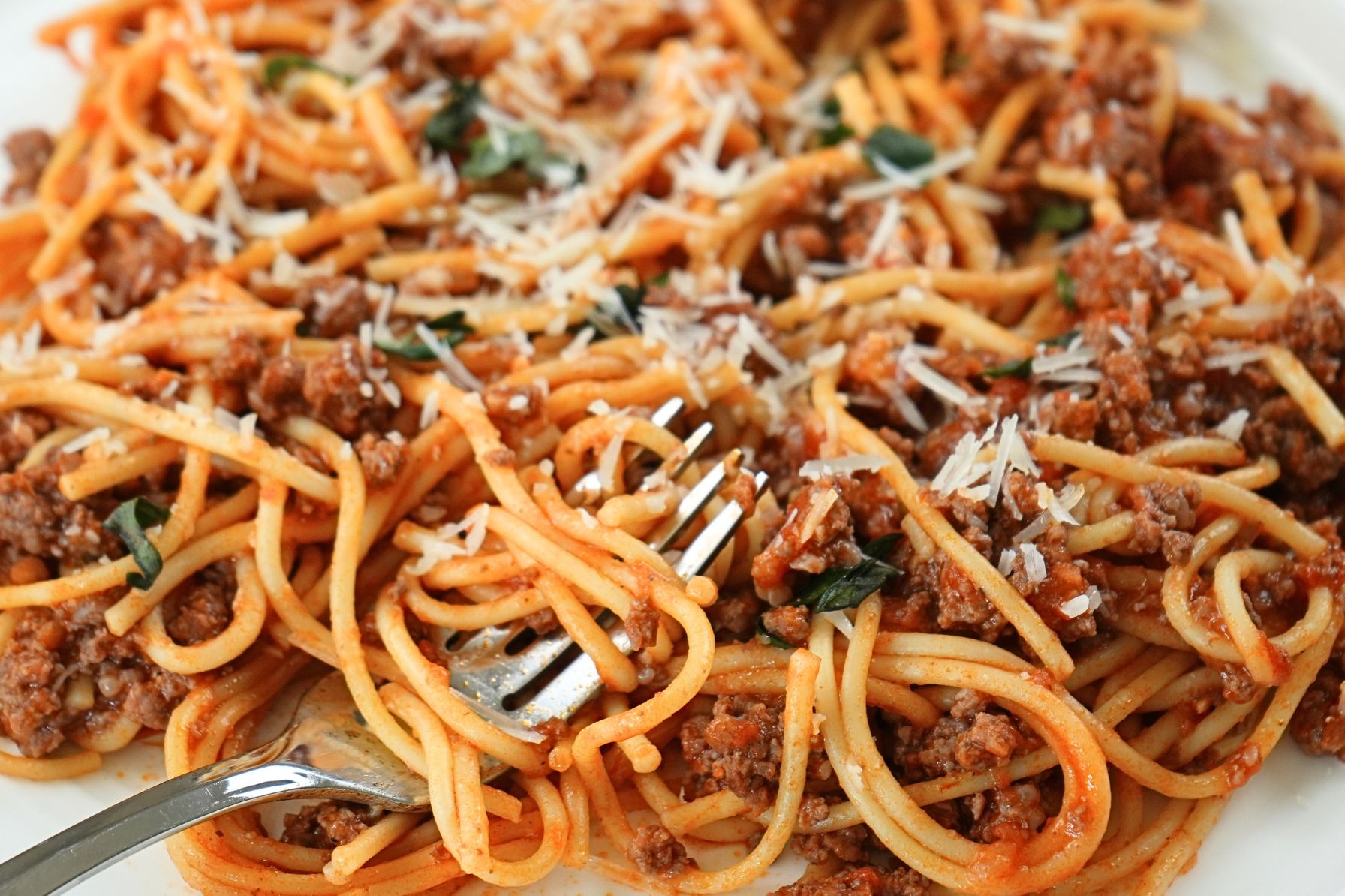 Easy Instant Pot Spaghetti with Meat Sauce Recipe - moon + magnolia