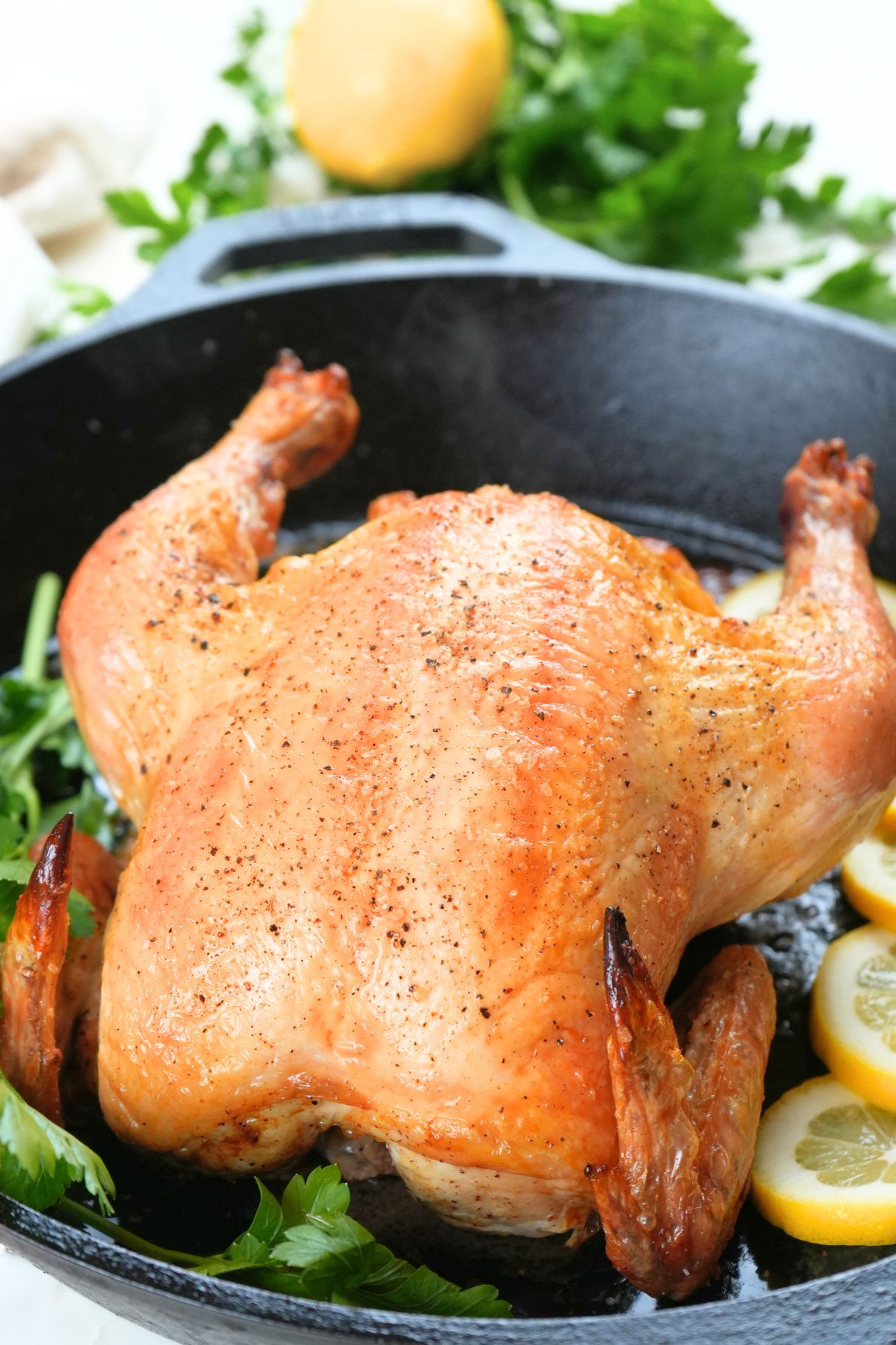 Easy Roast Chicken Recipe - Frugal and Delicious! - moon + magnolia