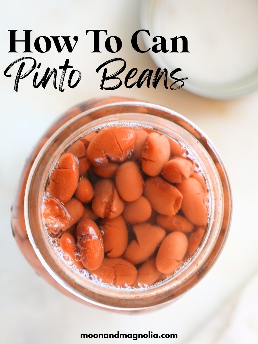Canning Pinto Beans: A Step-by-Step Guide - moon + magnolia