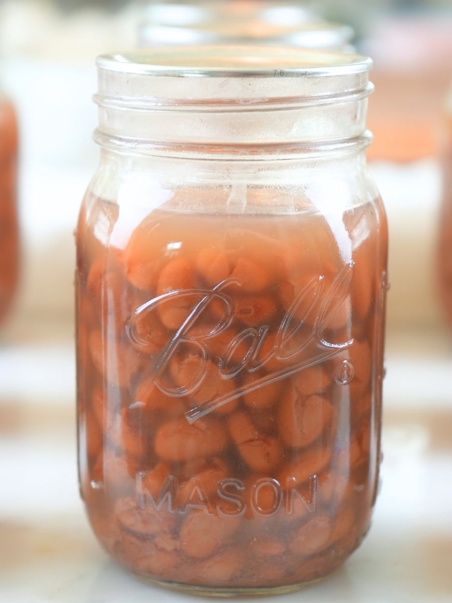 Canning Pinto Beans: A Step-by-Step Guide - moon + magnolia
