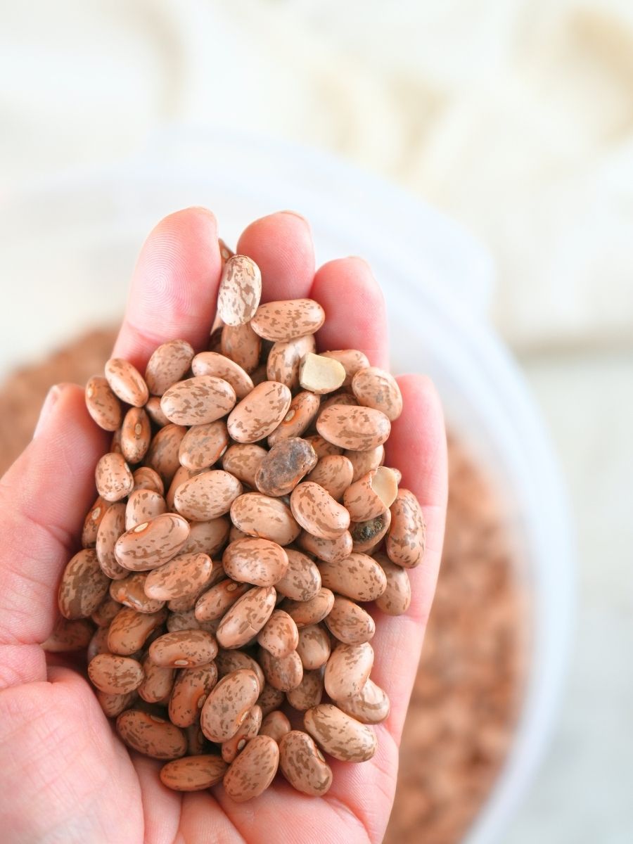 Canning Pinto Beans: A Step-by-Step Guide - moon + magnolia