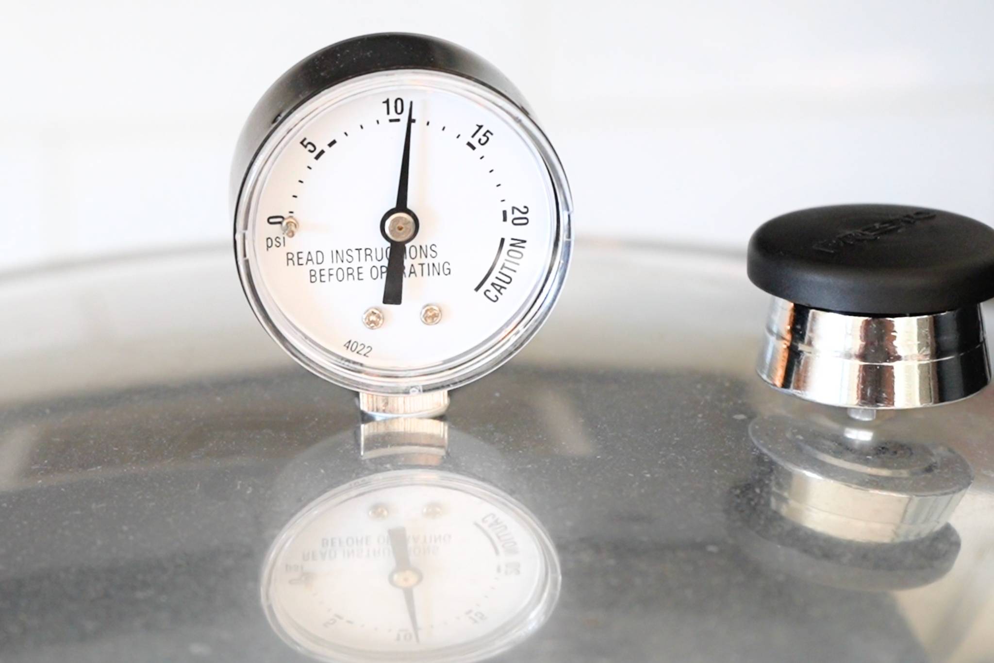 Canning Pinto Beans: A Step-by-Step Guide - moon + magnolia