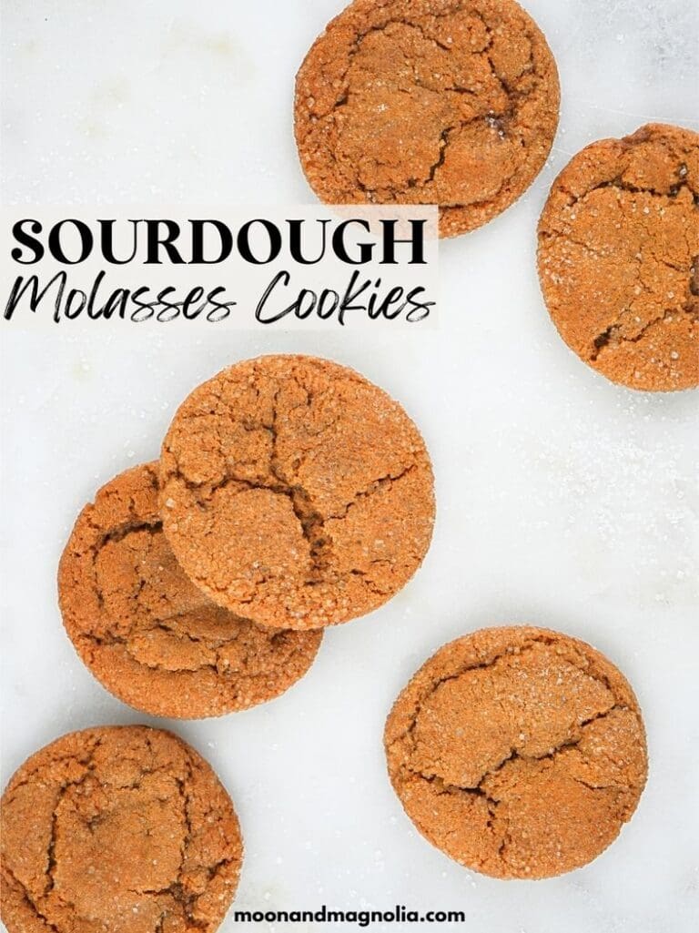 Chewy Sourdough Ginger Molasses Cookies - moon + magnolia