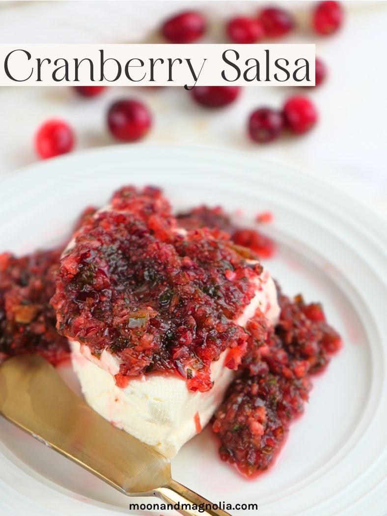 Cranberry Salsa Recipe - moon + magnolia